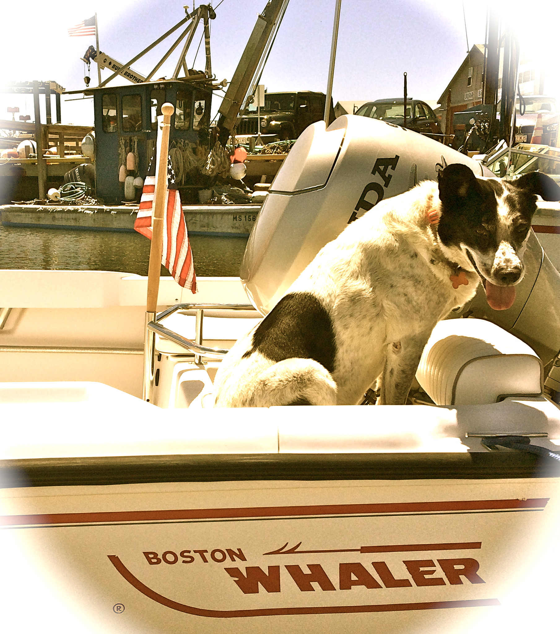Boston Whaler Burr Brothers Boats - Burr Brothers Boats, Inc.